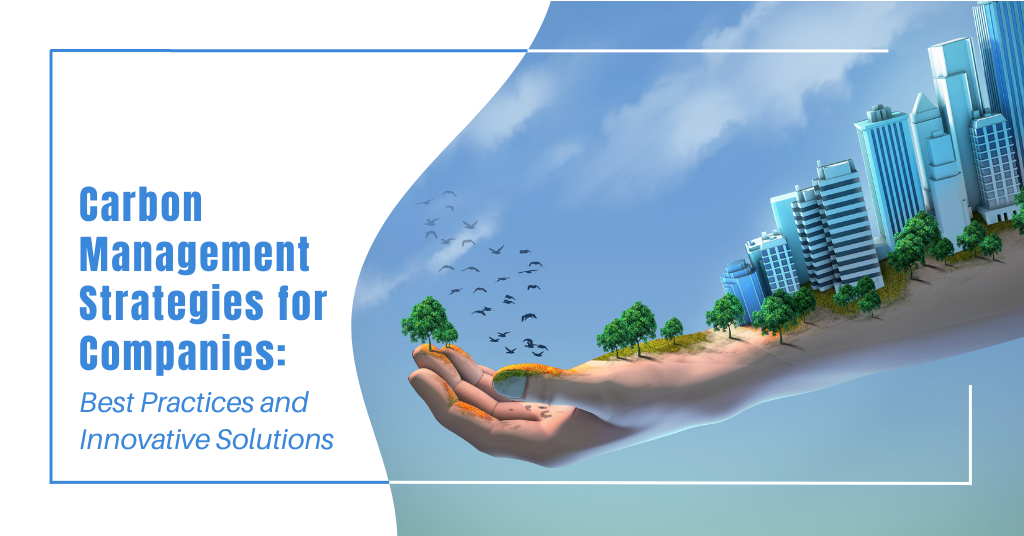 Carbon Management Strategies for Companies